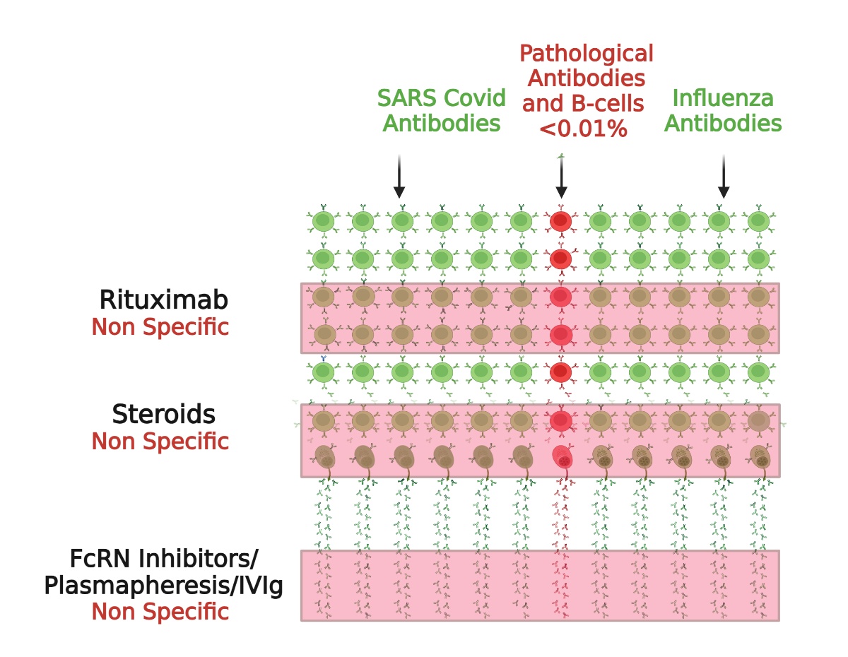 Canopy – Advancing beyond immunosuppression, Striving towards curing ...