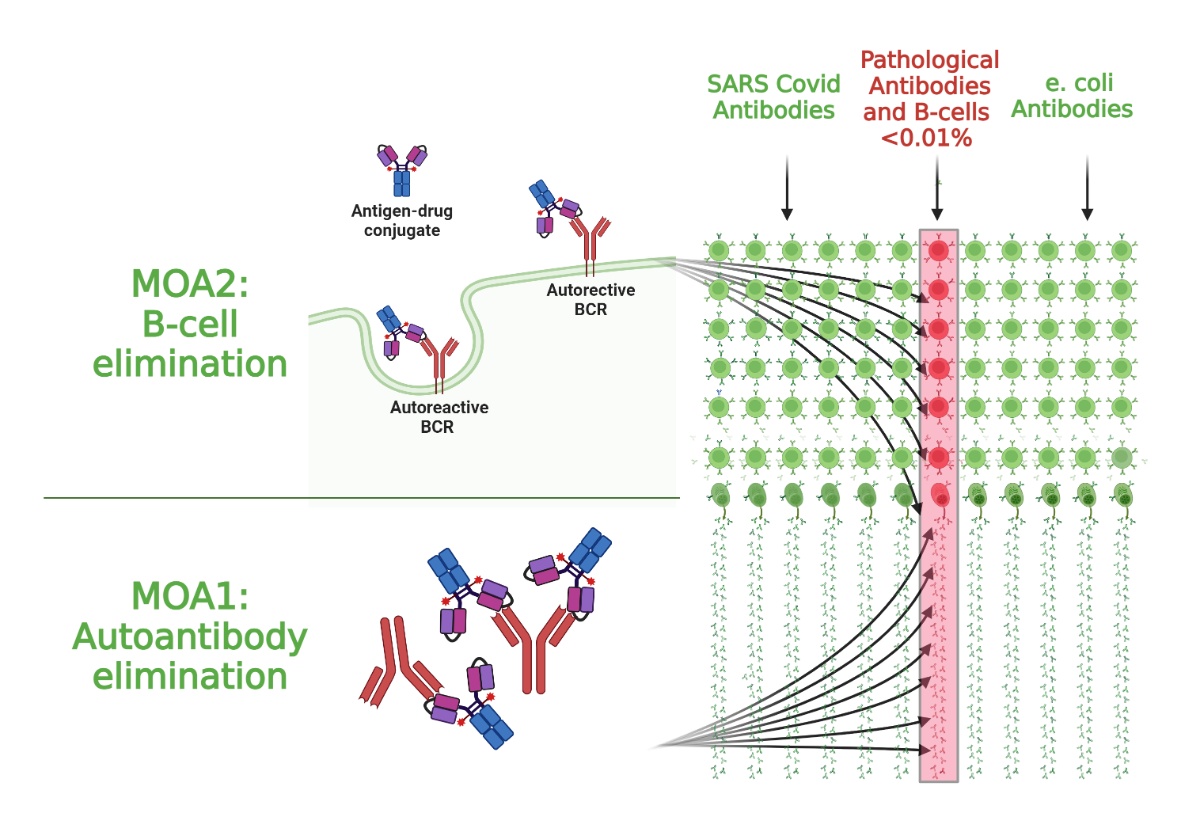 Canopy – Advancing beyond immunosuppression, Striving towards curing ...